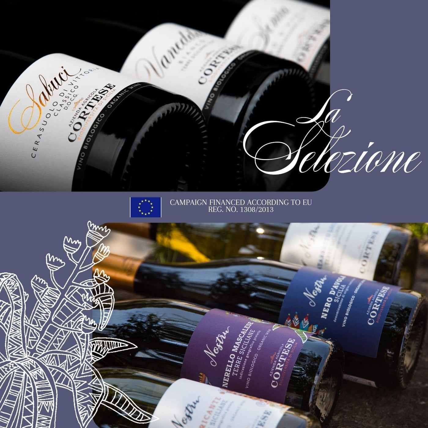 CORTESE Vineyard - Sicilian Organic Wines